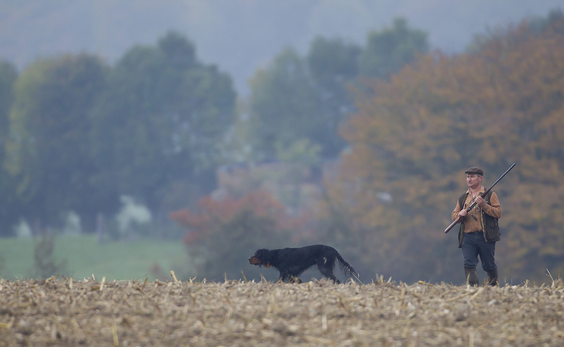 Une vaste enquête sur la chasse - Fédération des Chasseurs de la Vienne